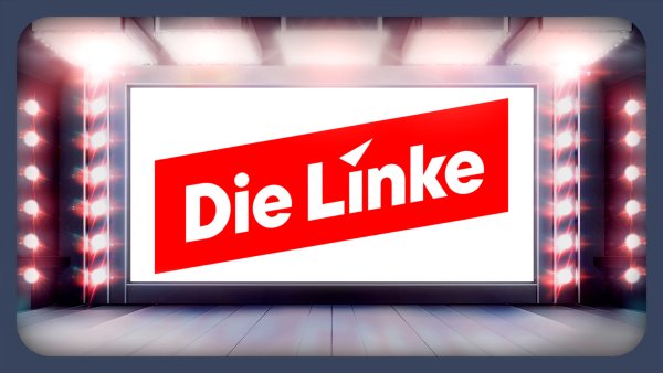 Das Wahlprogramme von Die Linke erklärt | Bundestagswahl 2025